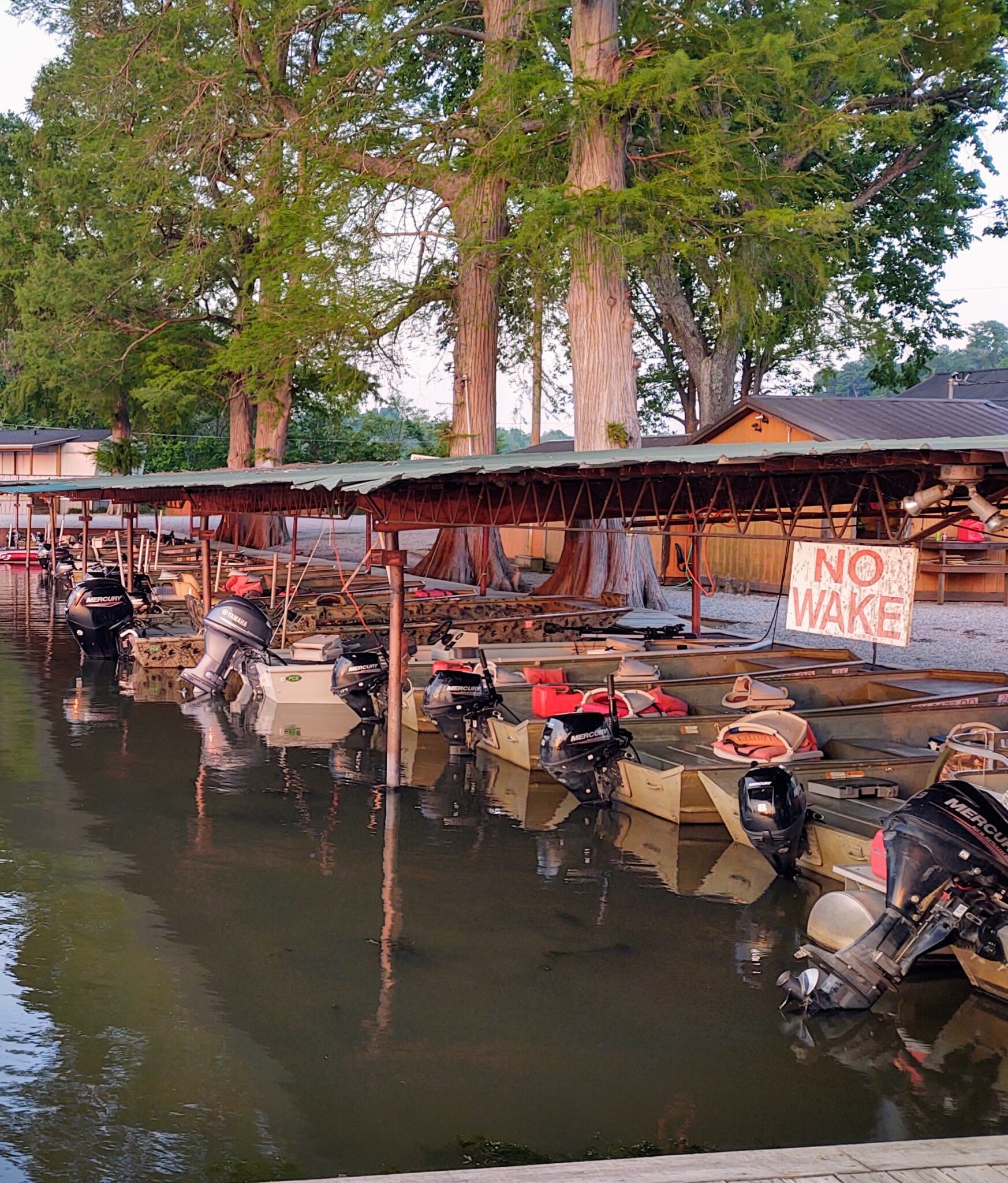 Boat Rentals | Boat Rates at Southshore Resort